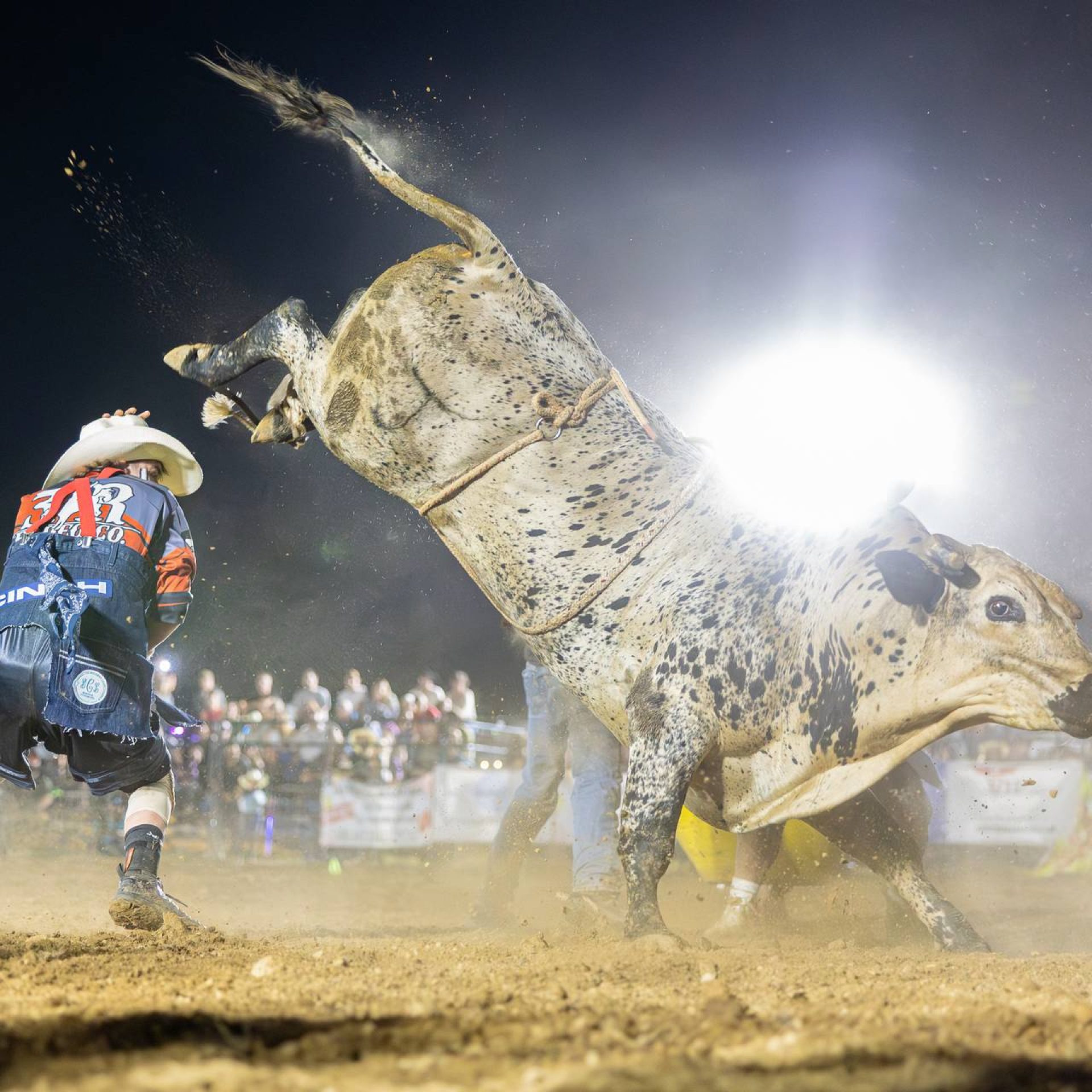 Media | 3R Rodeo Company