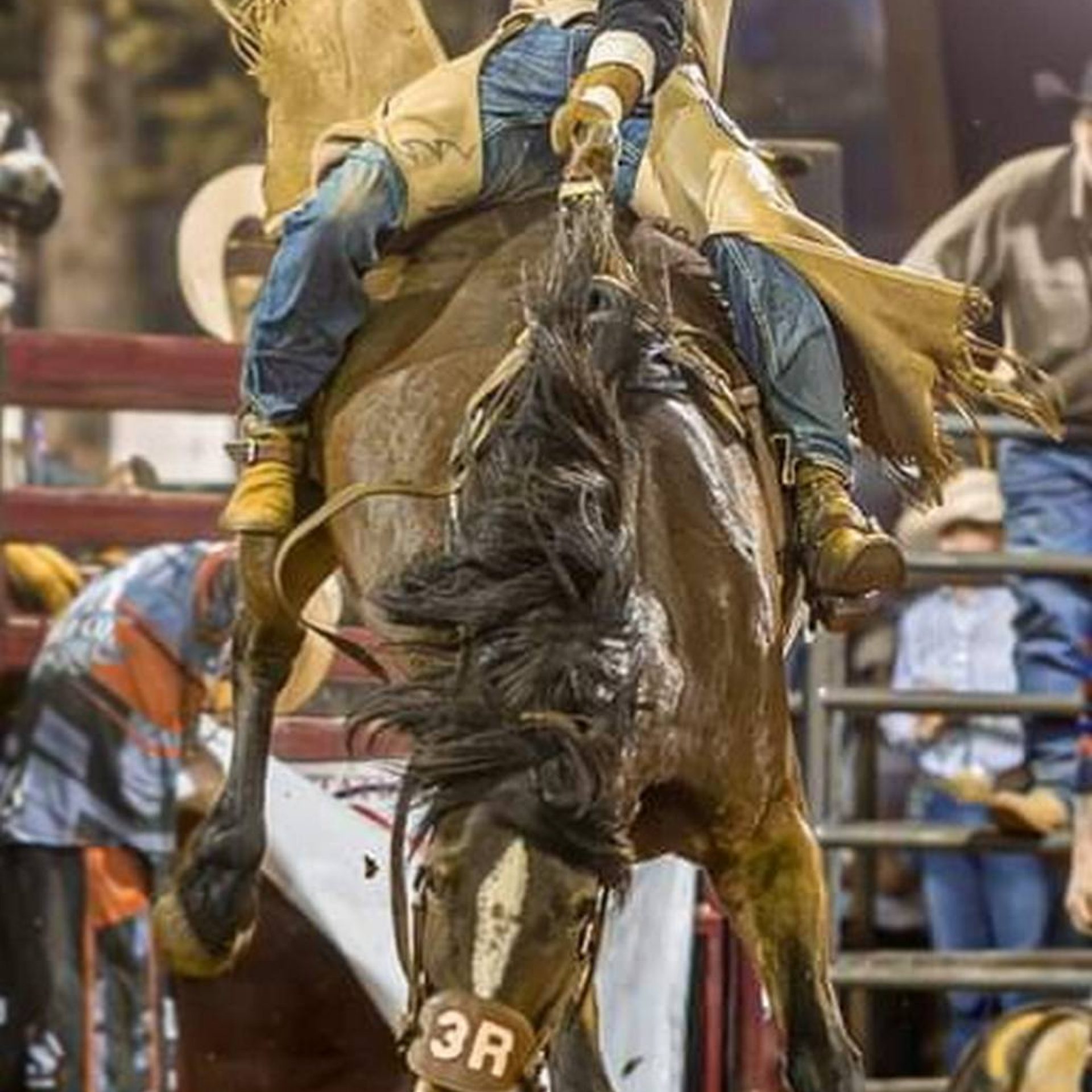 Media | 3R Rodeo Company