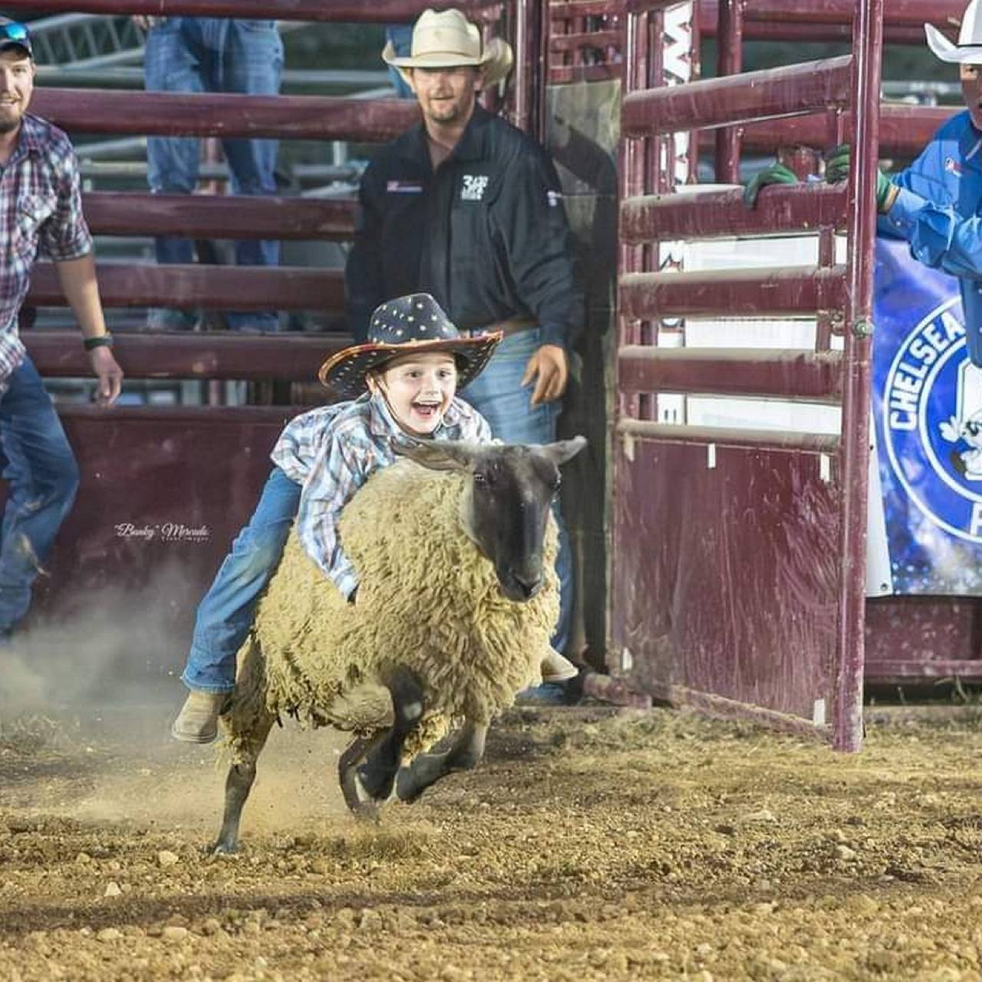 Media | 3R Rodeo Company