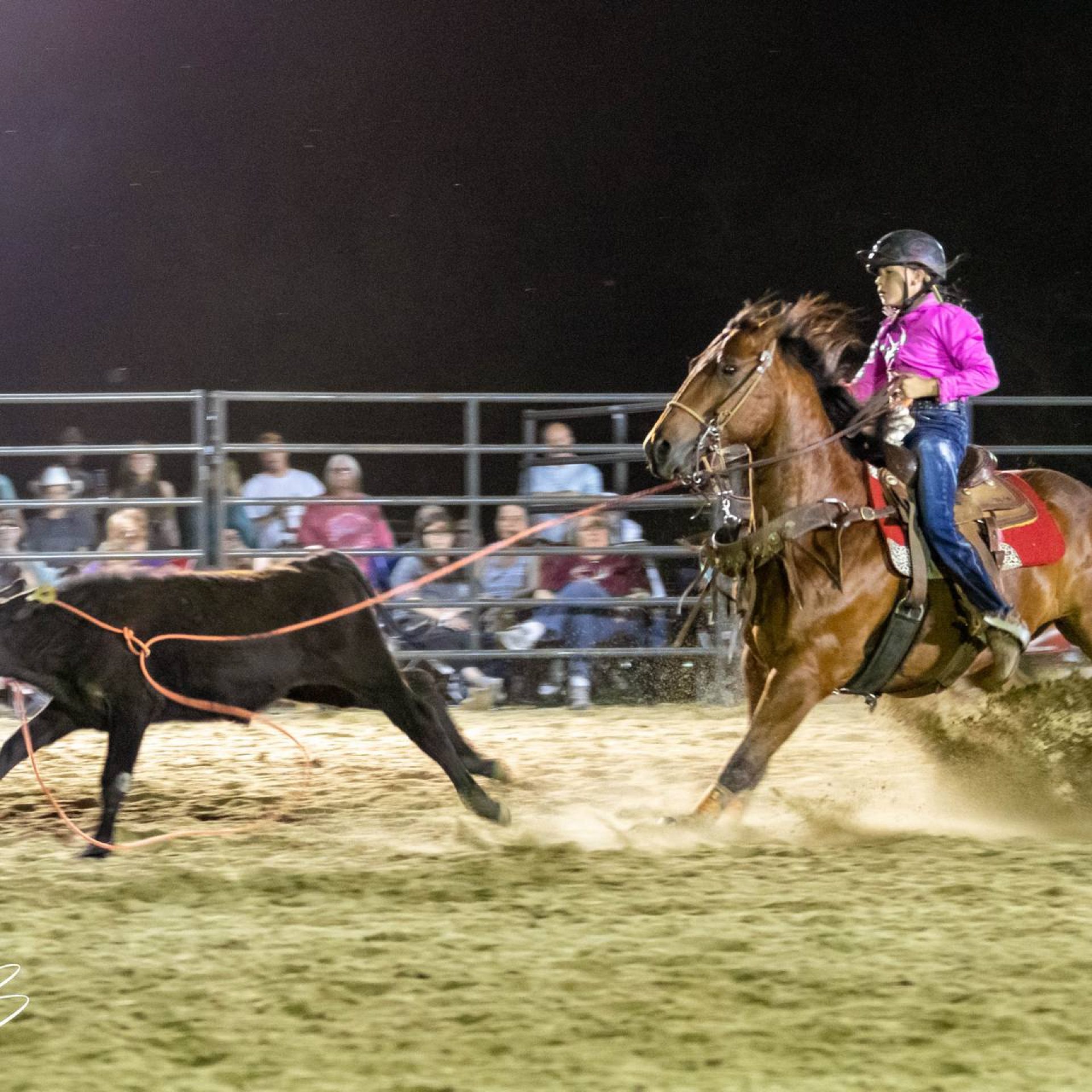 Media | 3R Rodeo Company