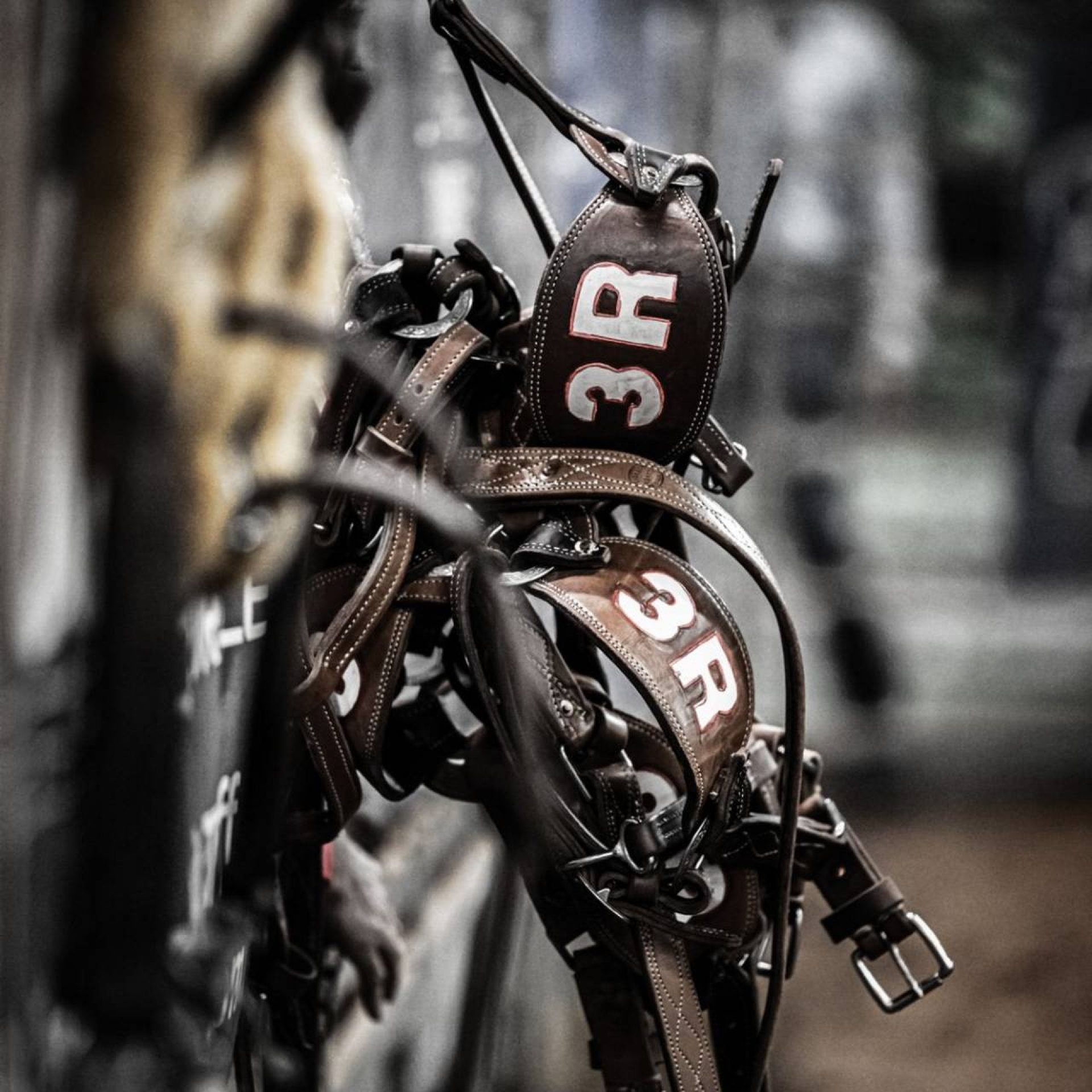 Media | 3R Rodeo Company