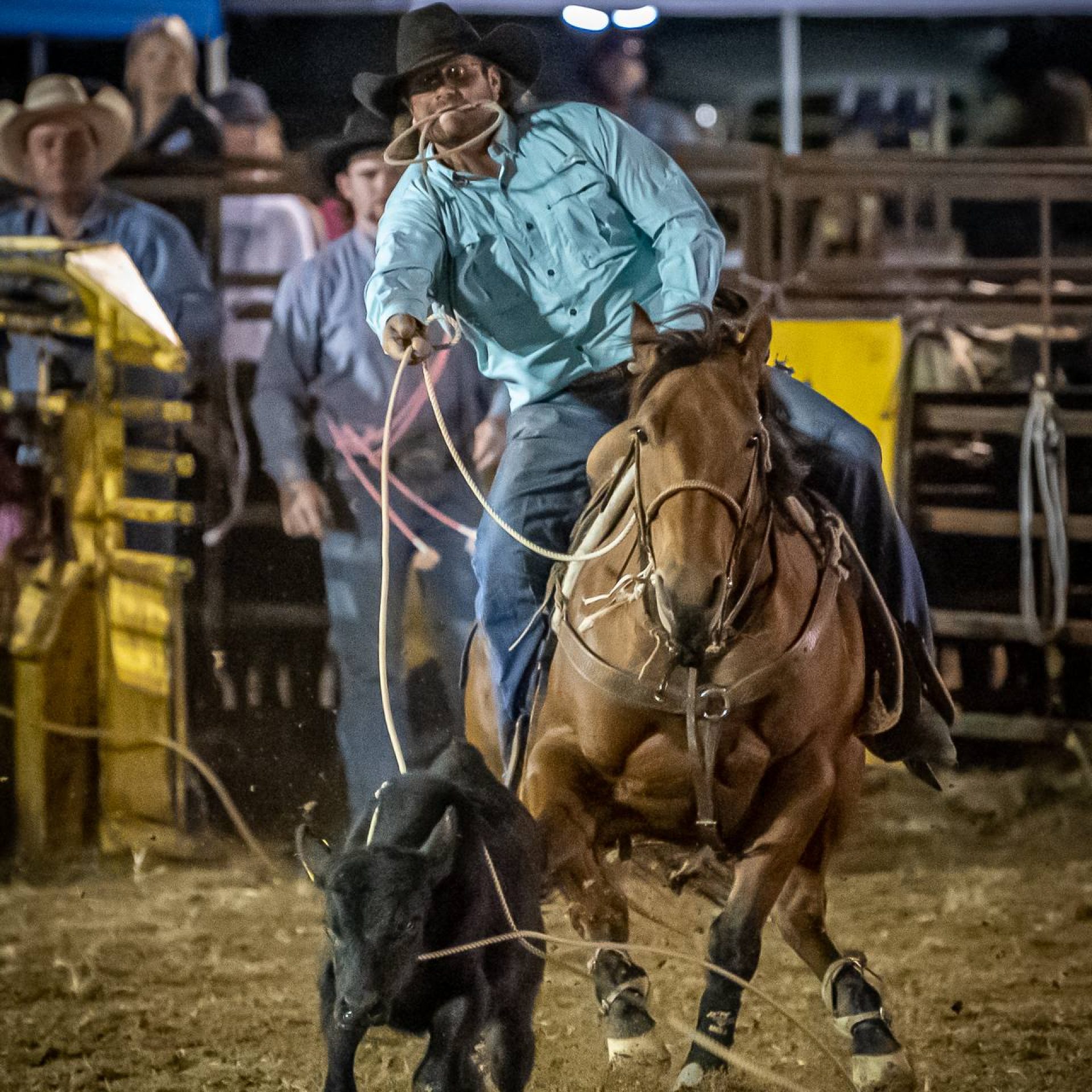 Media | 3R Rodeo Company