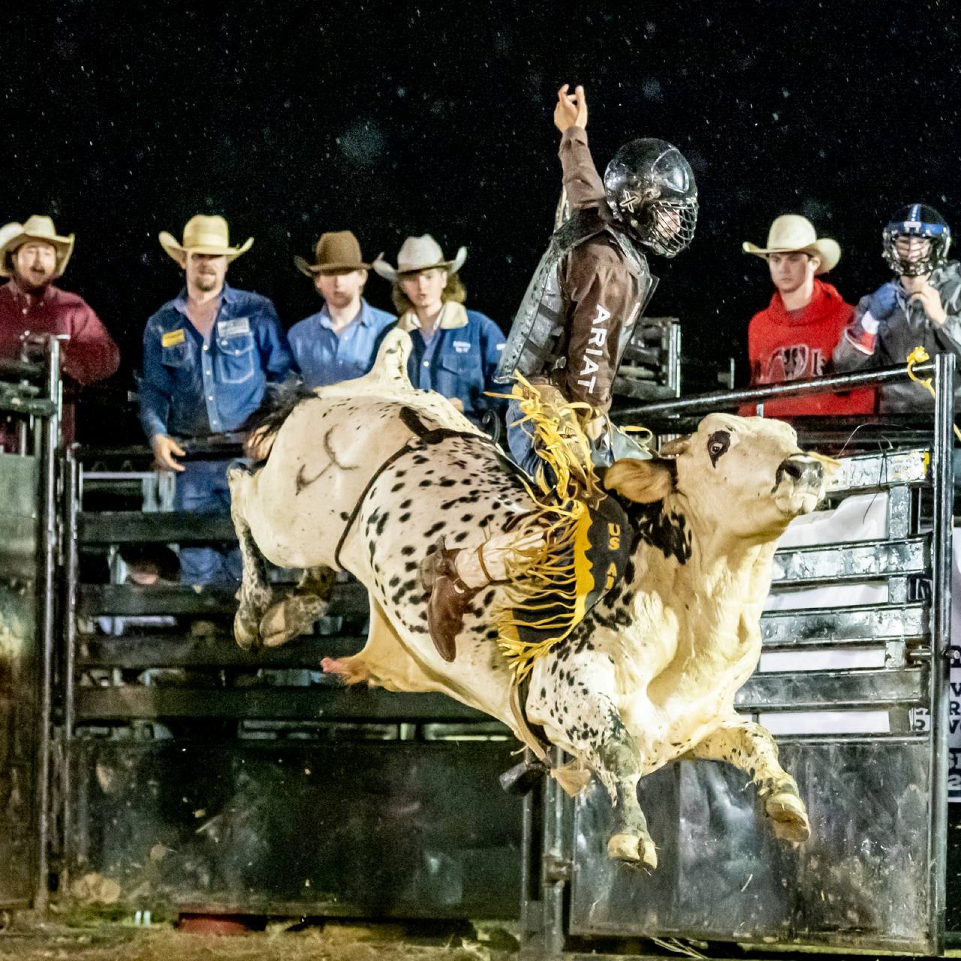 Media | 3R Rodeo Company